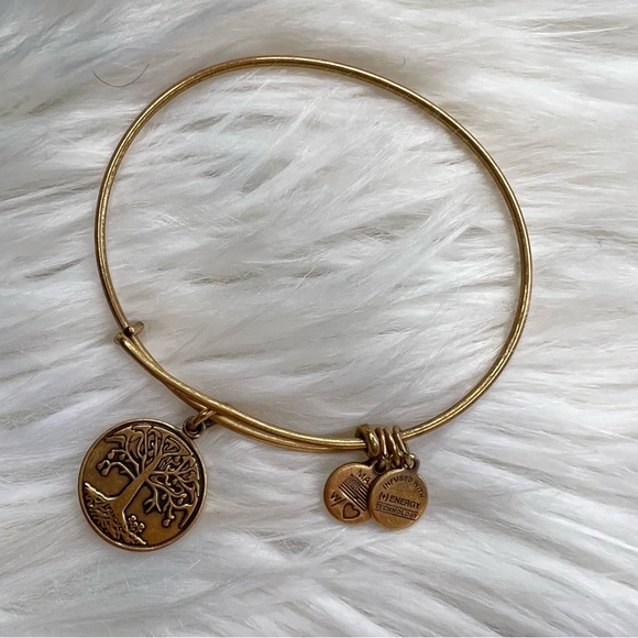 Alex and Ani | Jewelry | Alex And Ani Rafaelian Gold Tree Of Life Charm Bangle Bracelet | Poshmark